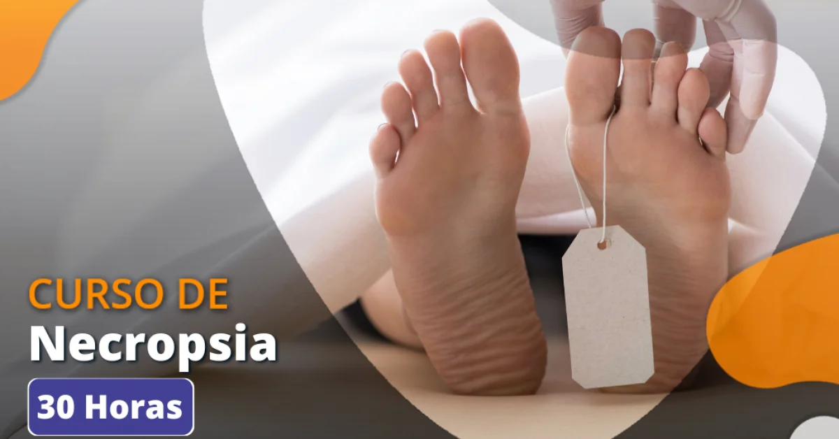 Curso de Necropsia Gratuito e Online da Unova